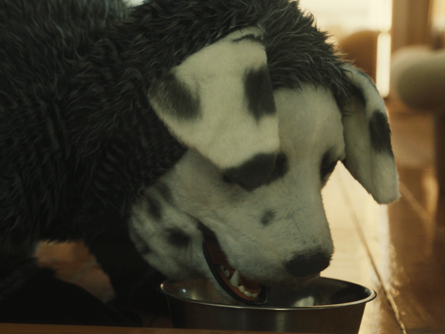 GOOD BOY (2022) - HORROR OBSESSED